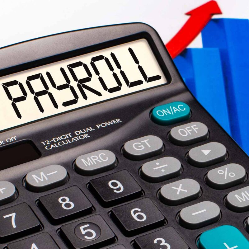 Effortlessly Manage Your Payroll with Our Comprehensive Payroll Services
